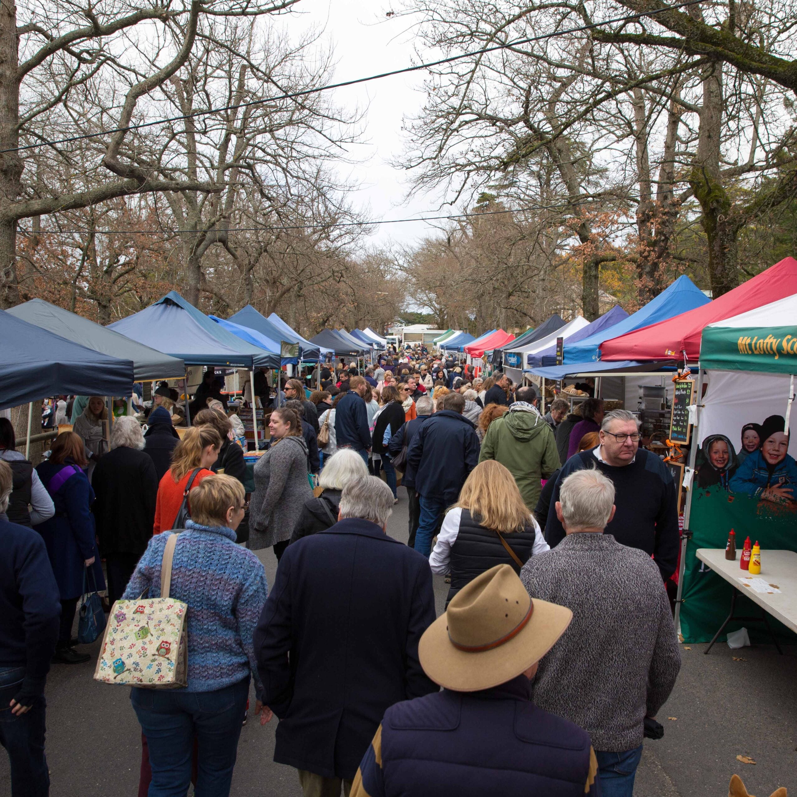South Australia | Adelaide Hills – Hahndorf & Stirling - Monty and Me
