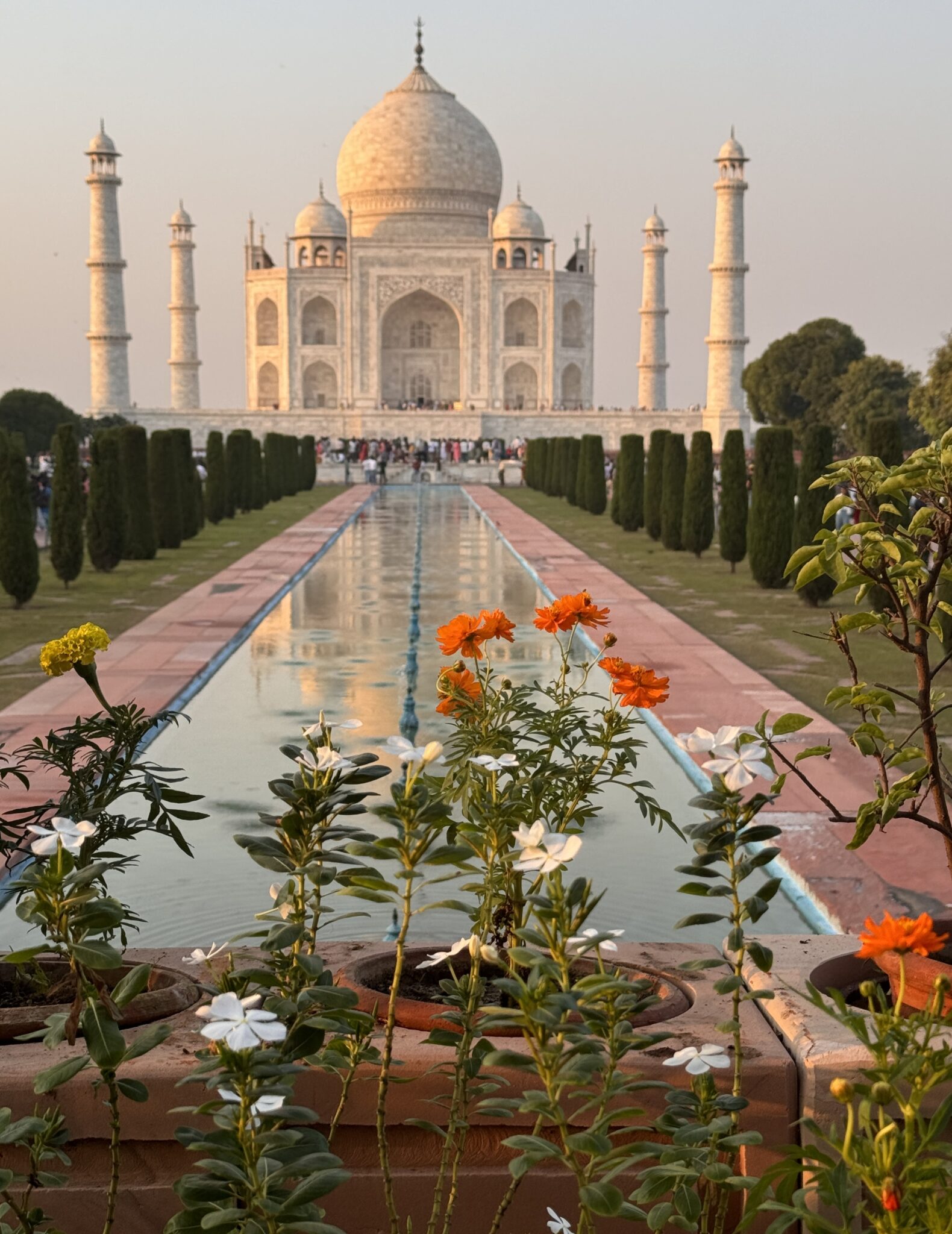 India’s Taj Mahal – are you ready? - Monty and Me